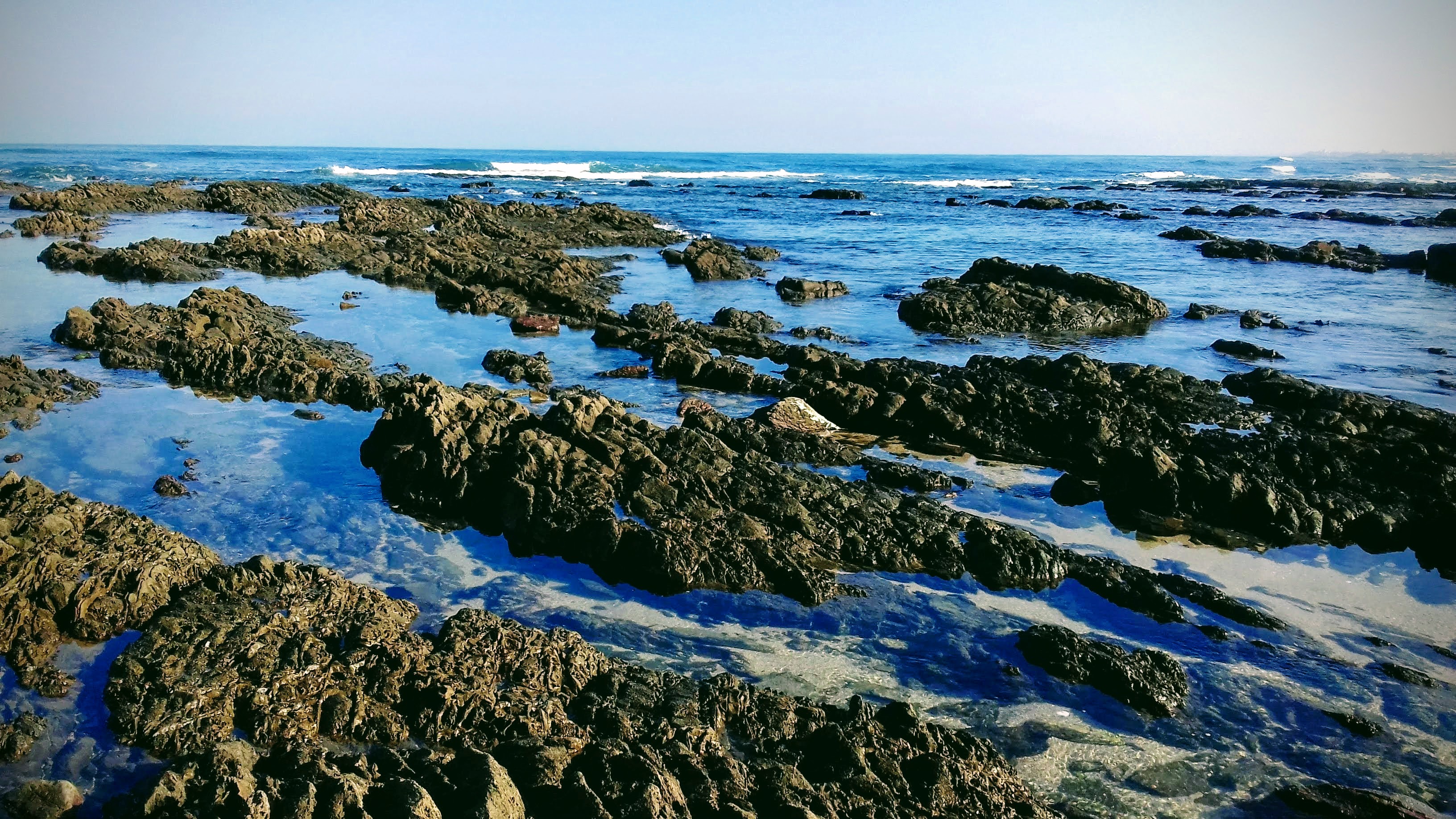 Le Jeune Observateur