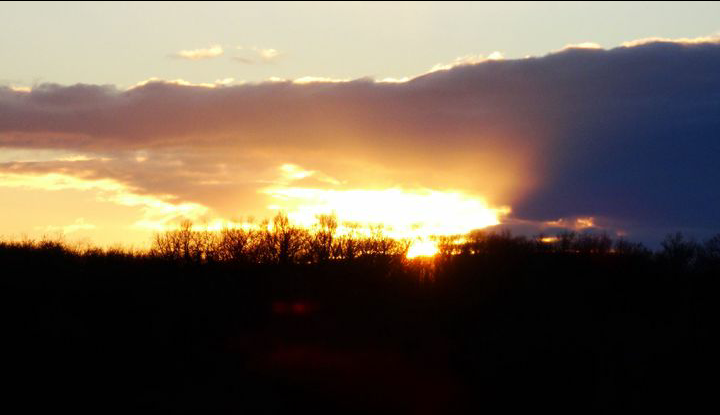 Le Jeune Observateur